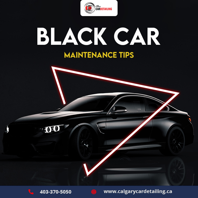 Car Detailing Services- How to Keep Your Black Car New Forever